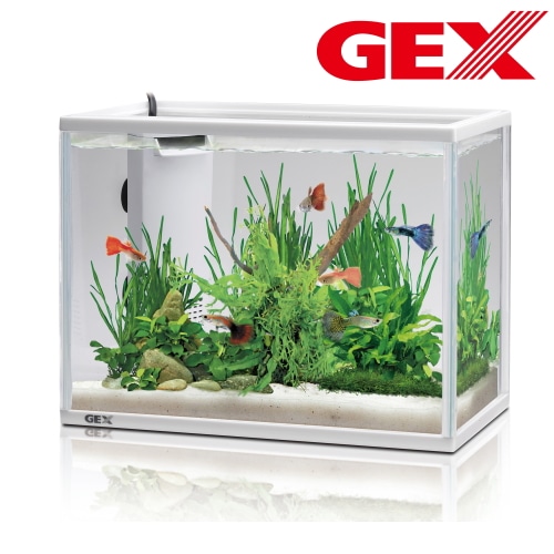 GEX(ジェックス) 水槽セット サイレントフィット 300 アクアリウム: 綿半ホームエイド